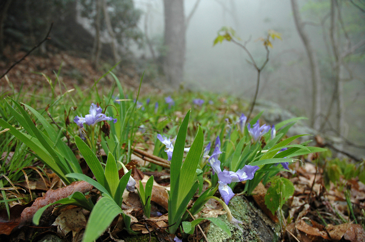 Sam Silvey | North Light Imaging
